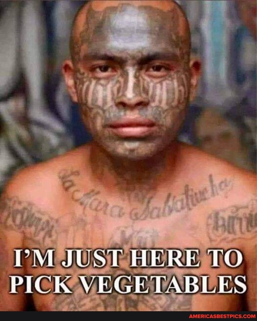 Food and Cooking memes memes. The best memes on America’s best pics and ...