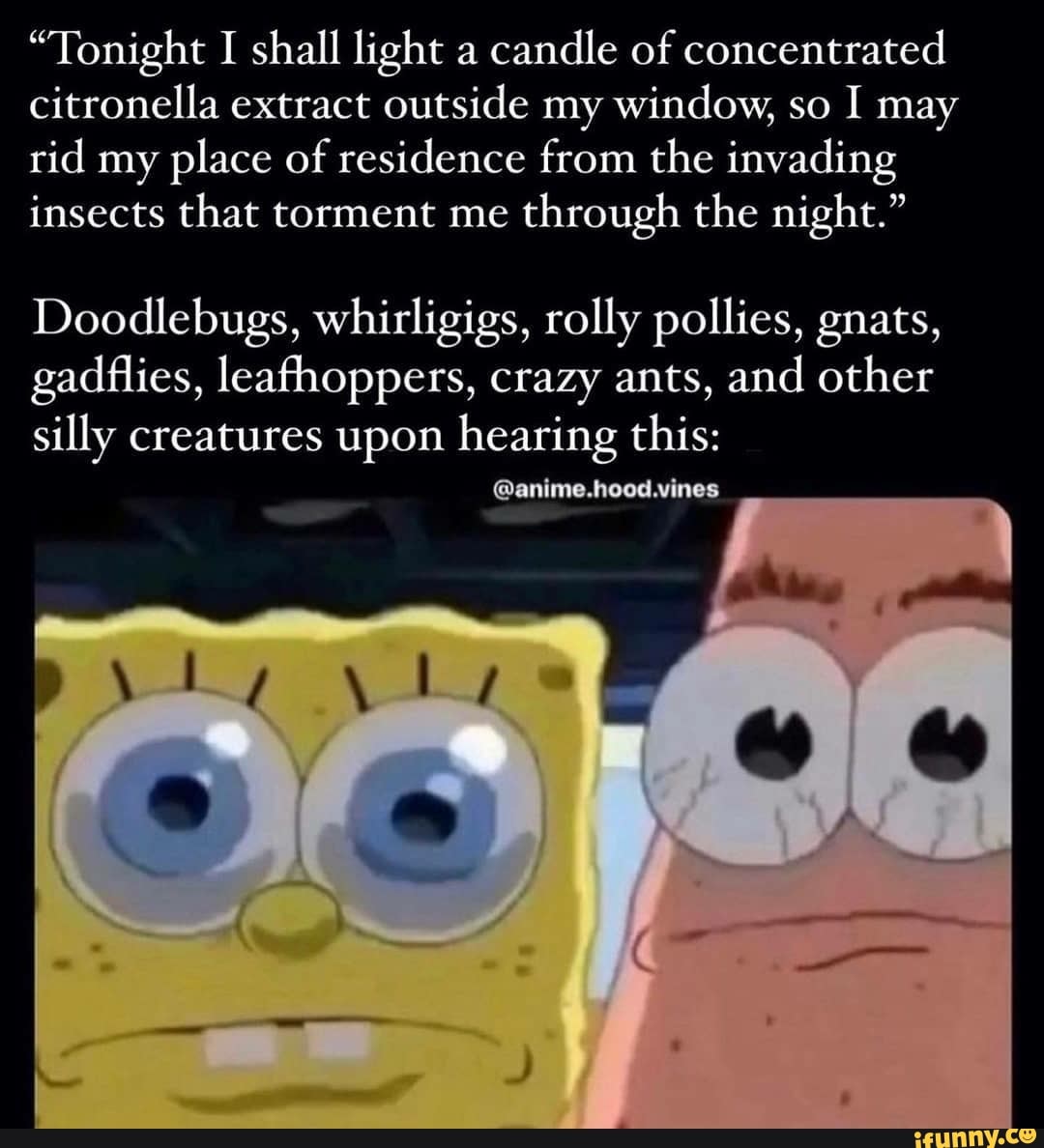 Gnats memes. Best Collection of funny Gnats pictures on iFunny