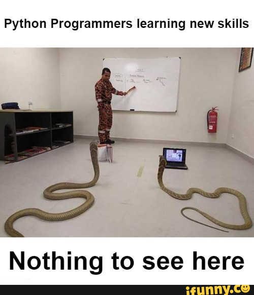 Python Programmers learning new skills ns Nothing to see here - iFunny