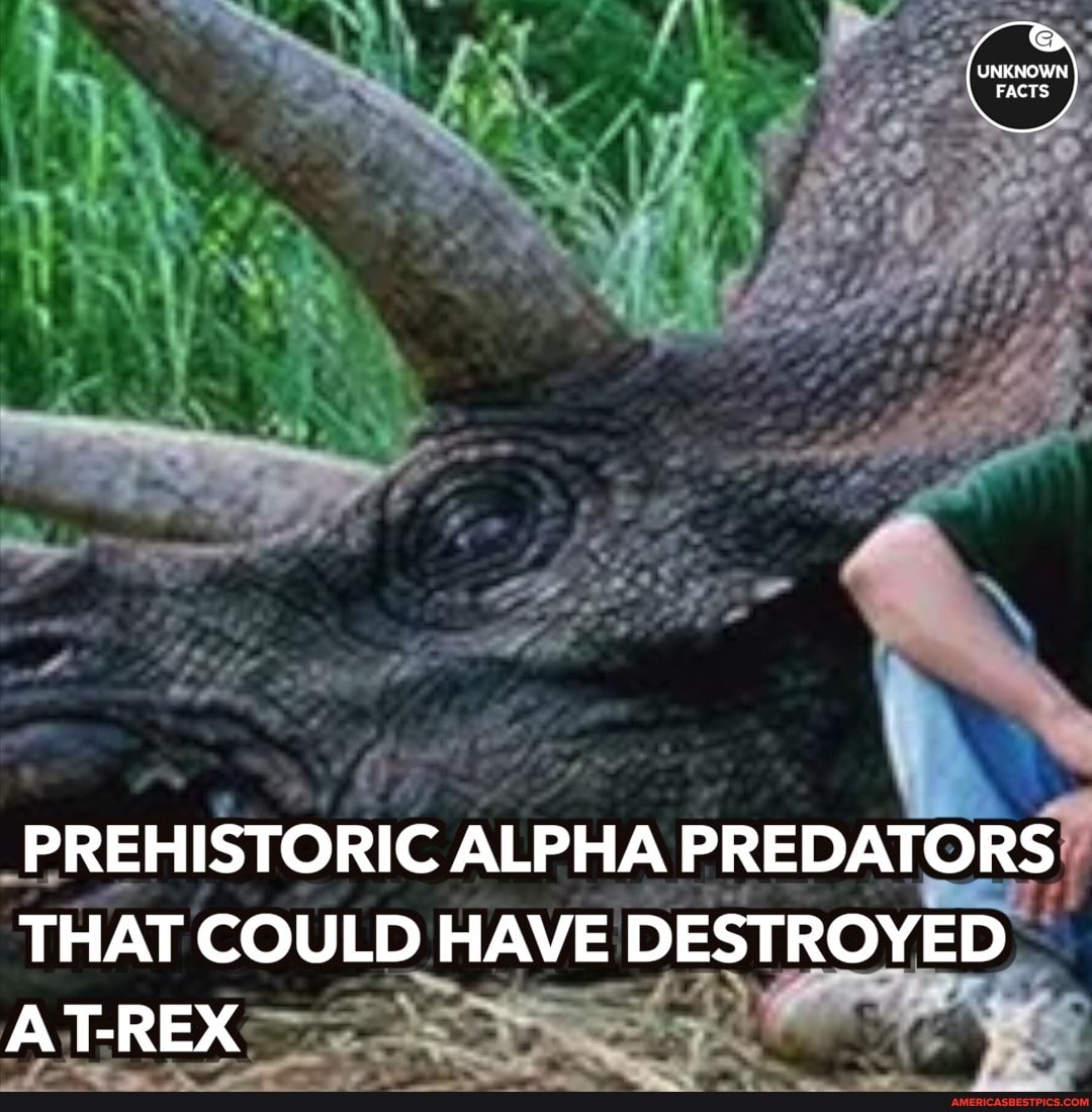 Prehistoric Alpha Predators That Could Have Destroyed A T-Rex ...