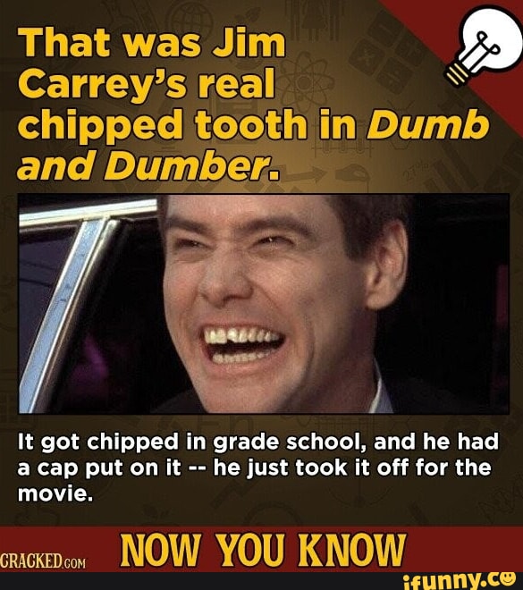 That was Jim Carrey's real chipped tooth in Dumb and Dumber: It got ...
