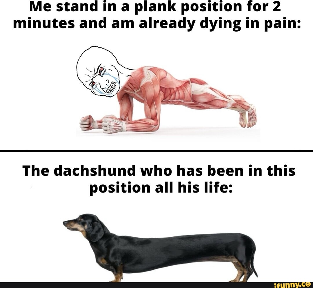 Plank memes. Best Collection of funny Plank pictures on iFunny