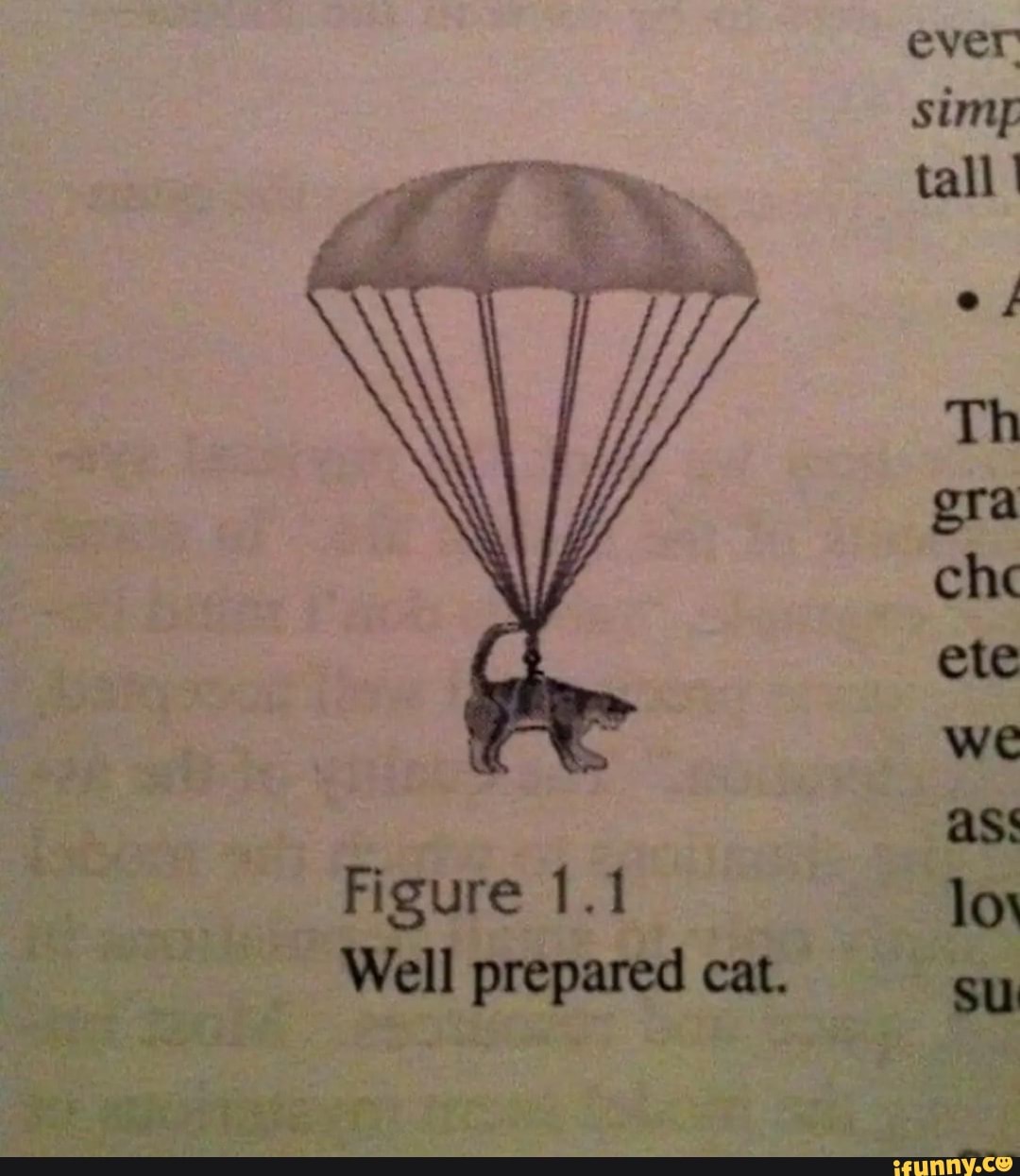 Figure 1.1 Well prepared cat. ever simp tall I - iFunny