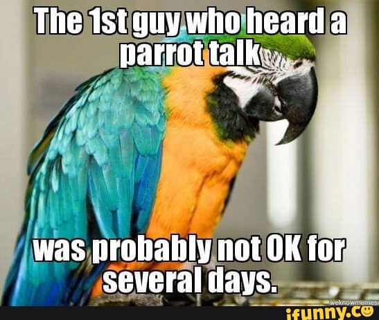 The ist guy who heard a parrot talk was probably not OK for several ...