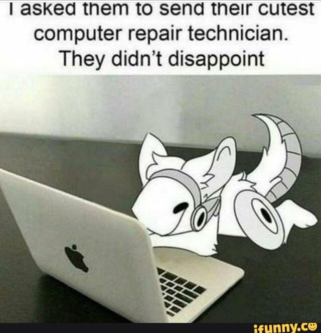 I asked them to send their cutest computer repair technician. They didn ...