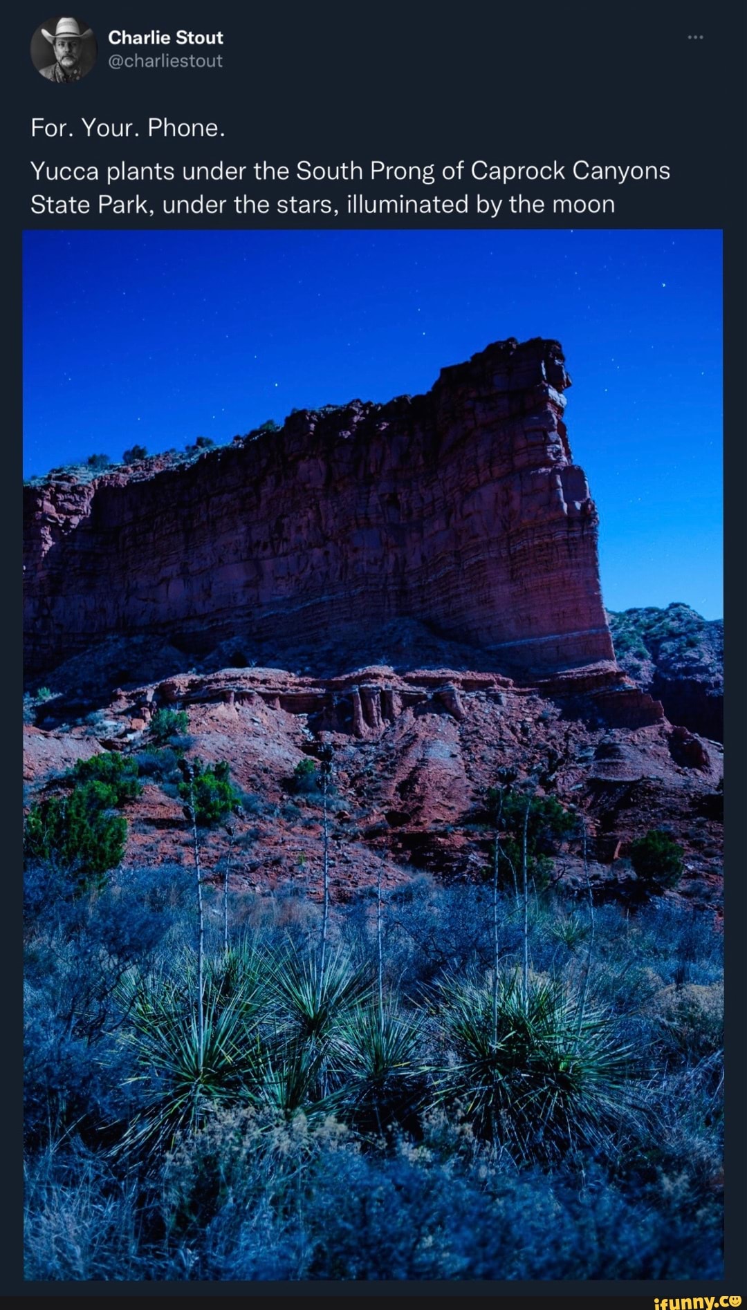 Yucca memes. Best Collection of funny Yucca pictures on iFunny