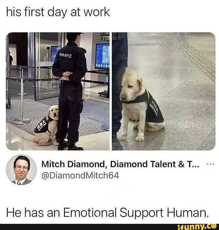 His first day at work Mitch Diamond, Diamond Talent & Tr ...