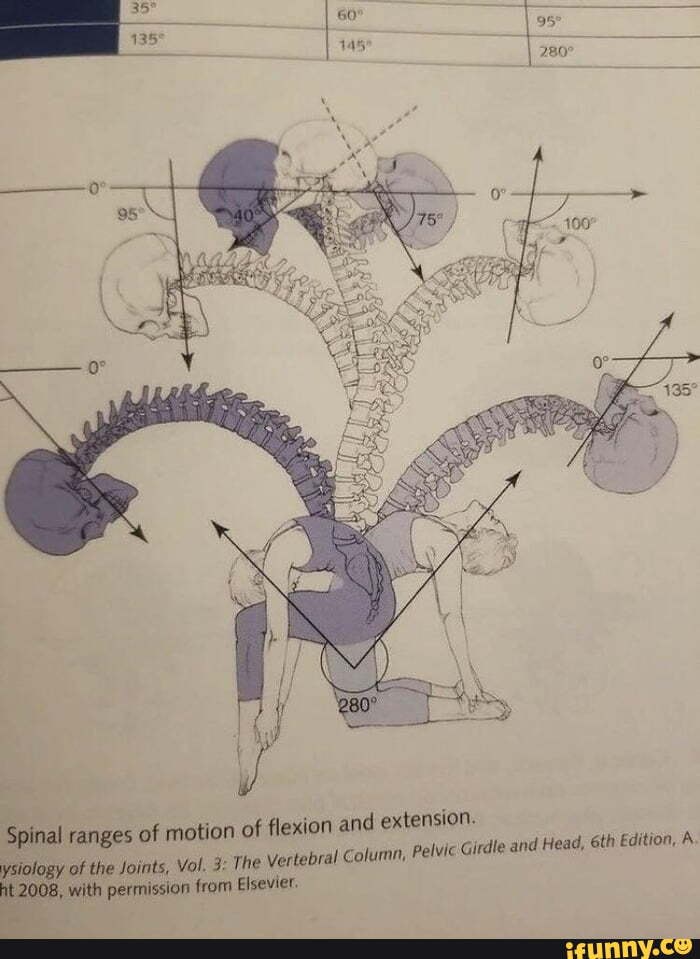 Ion and extension. th Edition, A. Spinal ranges of motion of flexi and ...