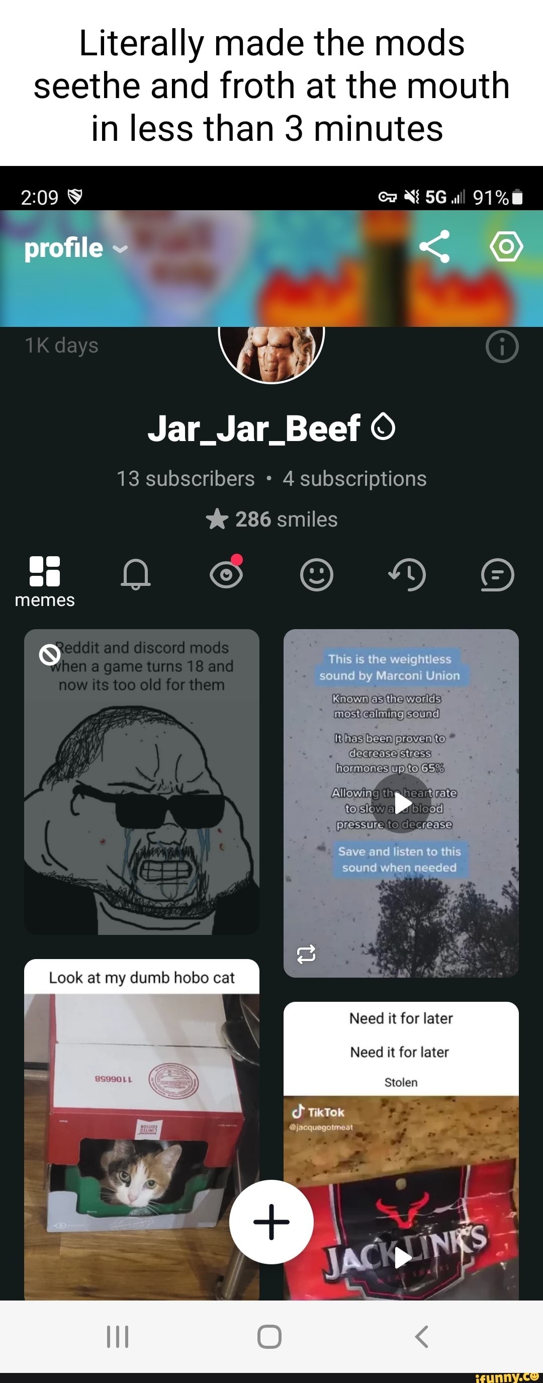 Literally made the mods seethe and froth at the mouth in less than 3 ...