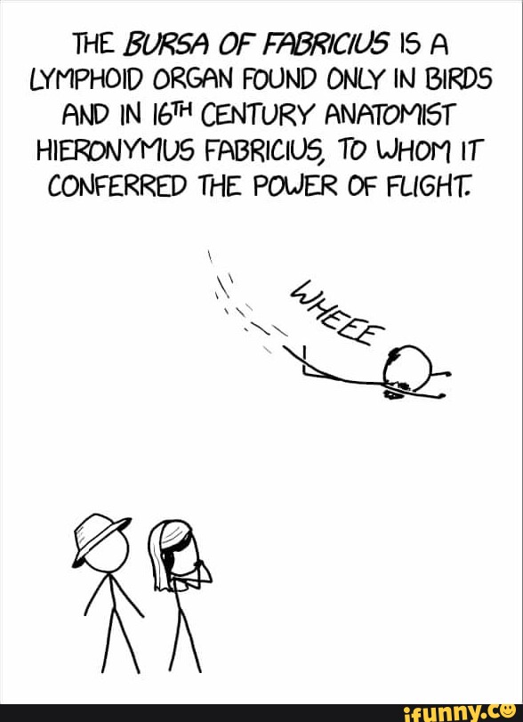 THE BURSA OF FABRICIUS IS A LYMPHOID ORGAN FOUND ONLY IN BIRDS AND IN ...