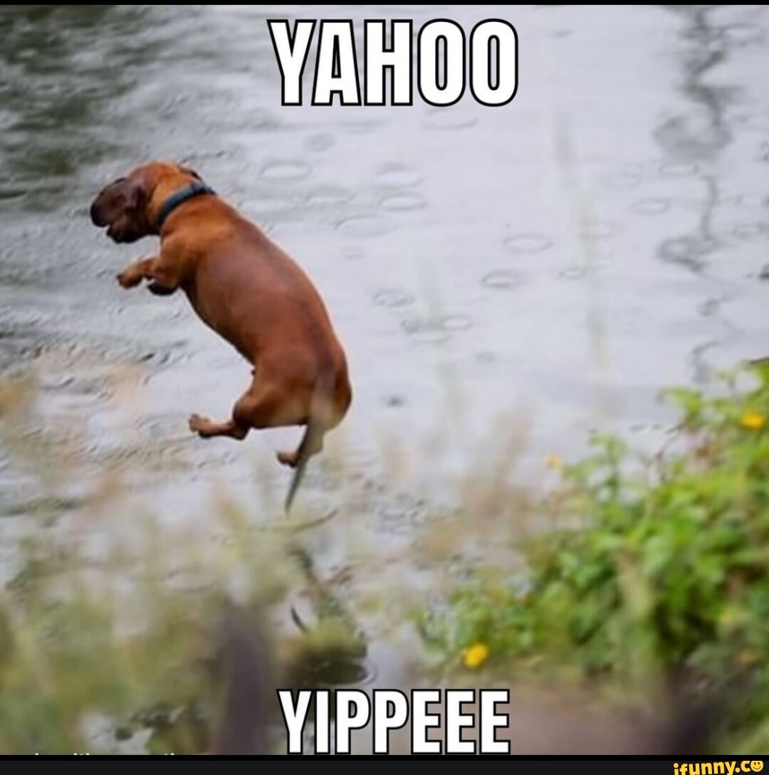 Yippeee memes. Best Collection of funny Yippeee pictures on iFunny