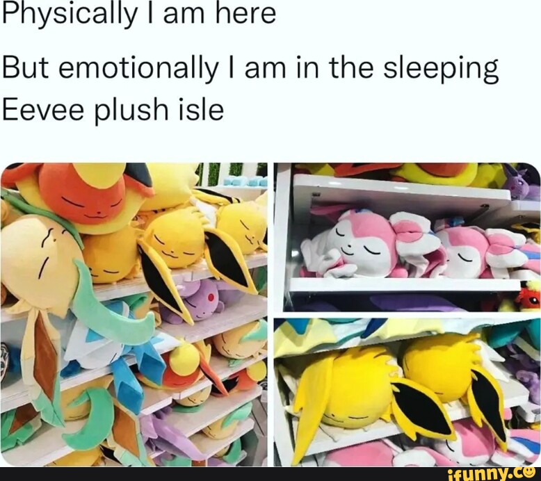 Physically I am here But emotionally I am in the sleeping Eevee plush isle - iFunny