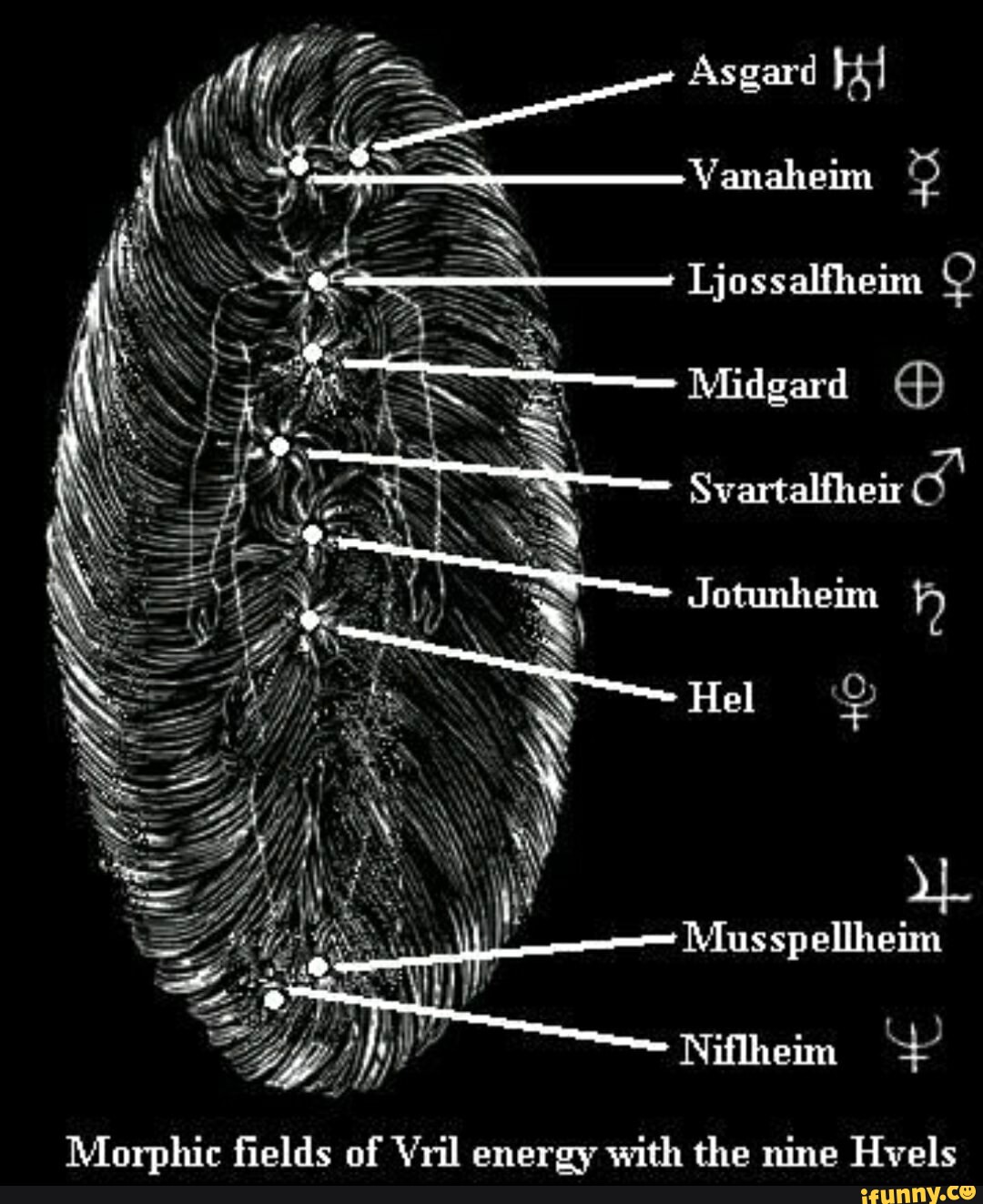 Asgard Vanaheim Ljossalfheim Midgard ref Jotunheinn Hel Mussp Moprphic ...