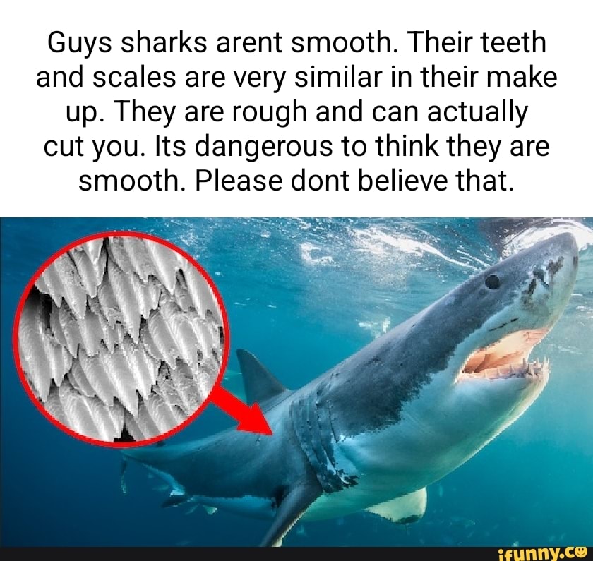 Guys sharks arent smooth. Their teeth and scales are very similar in ...