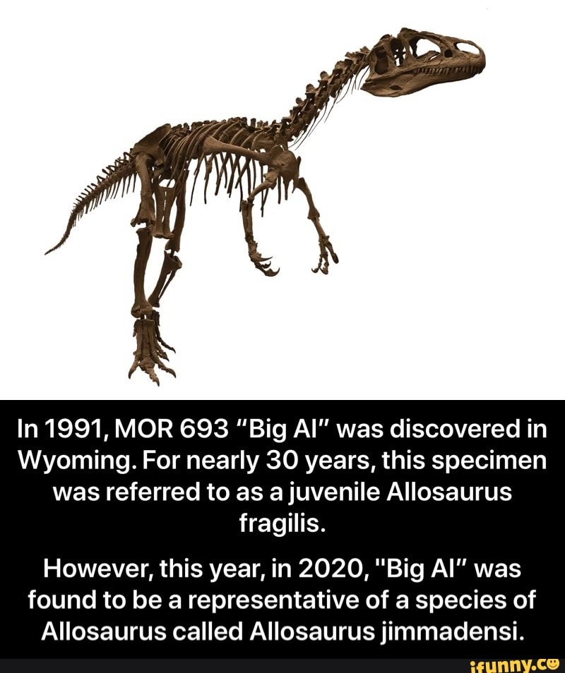 Big Al The Allosaurus