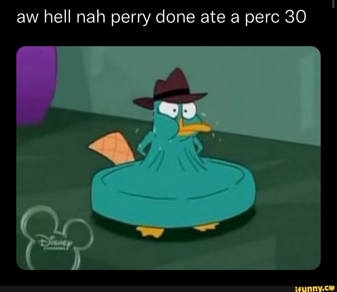 Aw hell nah perry done ate a perc 30 - iFunny