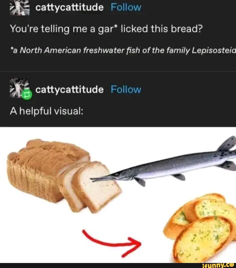 Lepisosteia memes. Best Collection of funny Lepisosteia pictures on iFunny