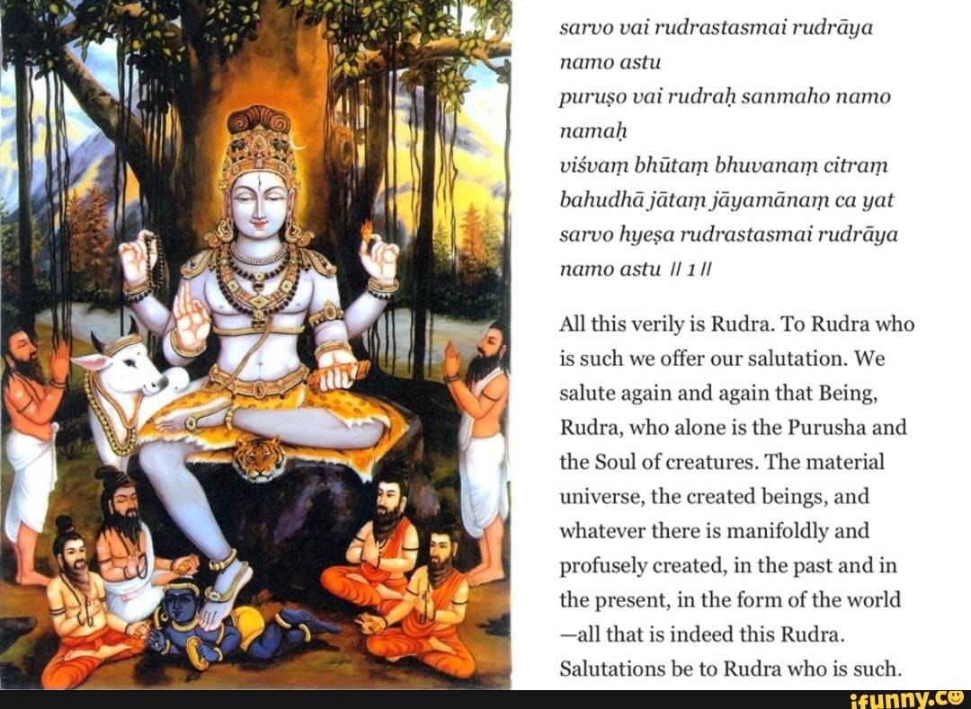 Sarve vat rudrastasmat rudraya namo astu puruso vat rudrah sanmaho name ...