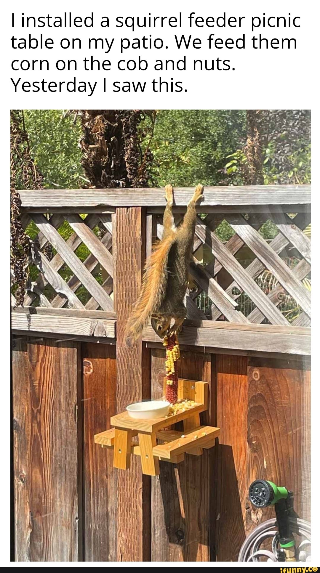 Picnic memes. Best Collection of funny Picnic pictures on iFunny