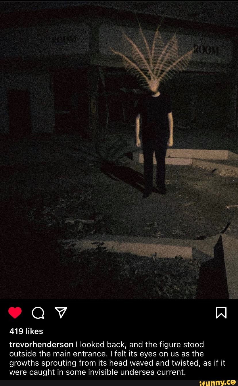 Trevorhenderson memes. Best Collection of funny Trevorhenderson ...