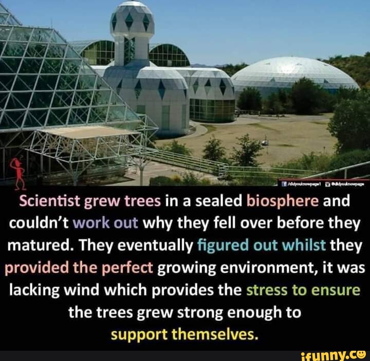 Picture memes JbBwVvNJA by Whiskey_corridor - seo.title
