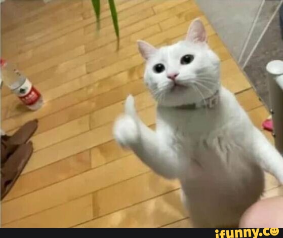 Approval memes. Best Collection of funny Approval pictures on iFunny