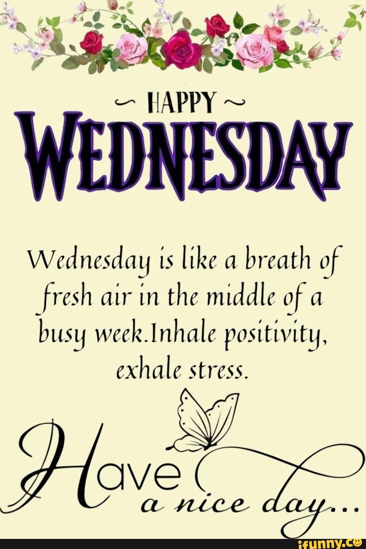- HAPPY ~ WEDNESDAY Wednesday is like a breath of fresh air in the ...