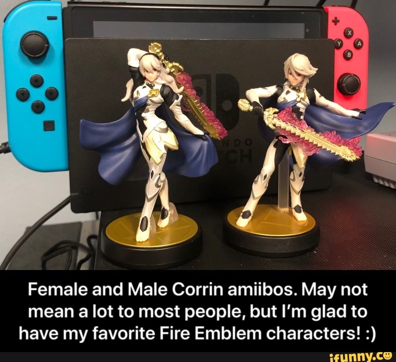 Female and Male Corrin amiibos. May not mean a lot to most people, but ...