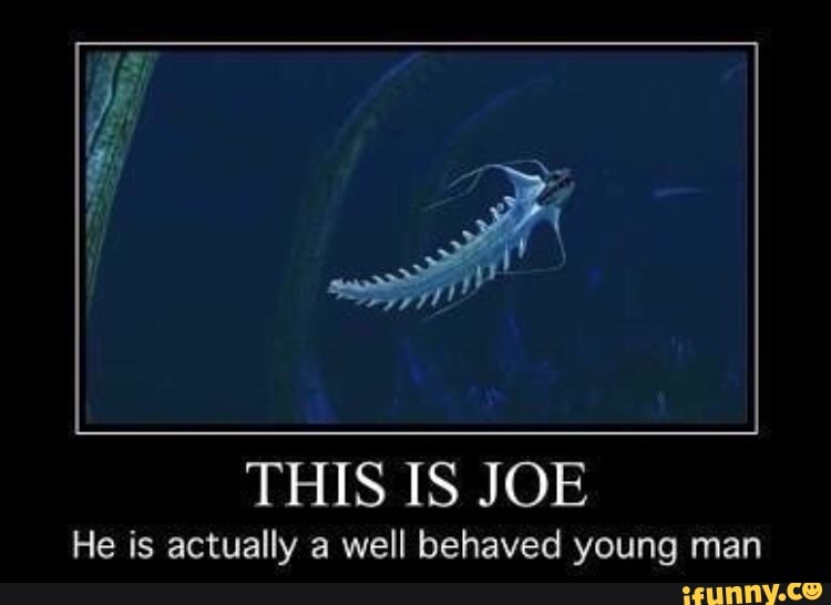 THIS IS JOE He is actually a well behaved young man - iFunny