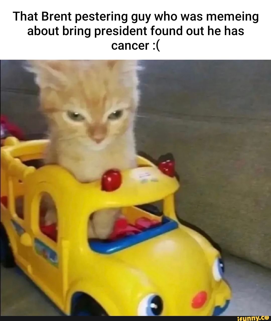 Pestering memes. Best Collection of funny Pestering pictures on iFunny