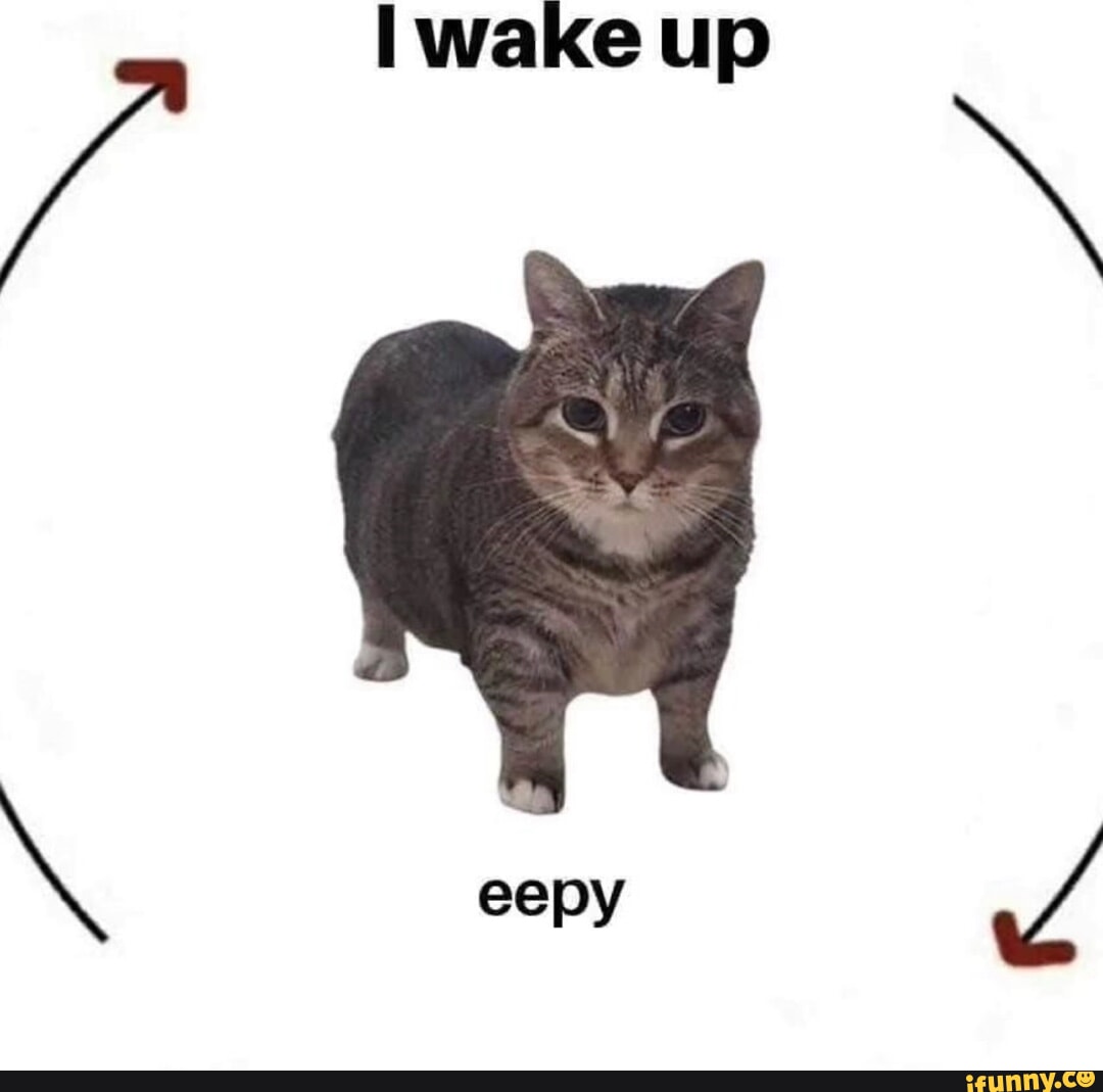 Video memes wWqrLF3zA by HolySpace - iFunny