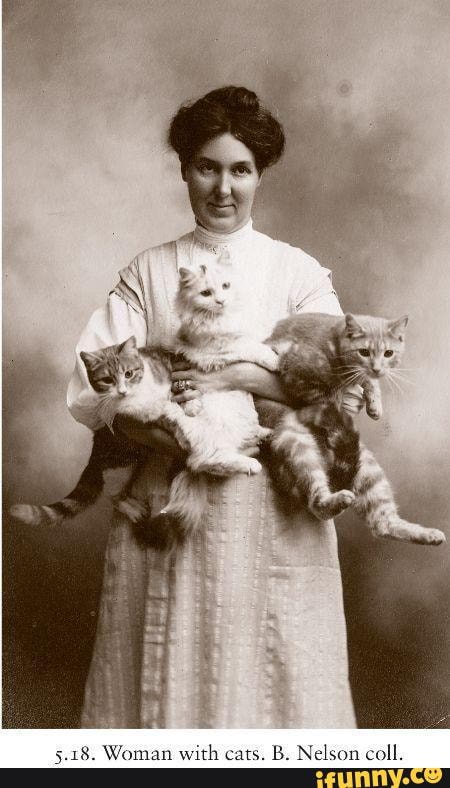 Cat_lady memes. Best Collection of funny Cat_lady pictures on iFunny