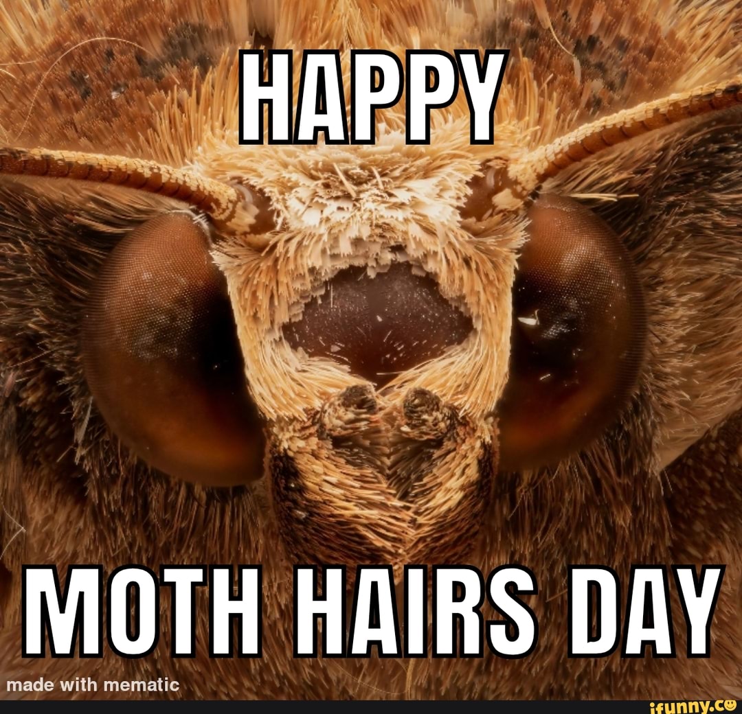 4, HAPPY MOTH HAIRS DAY marisa with mamatir - iFunny