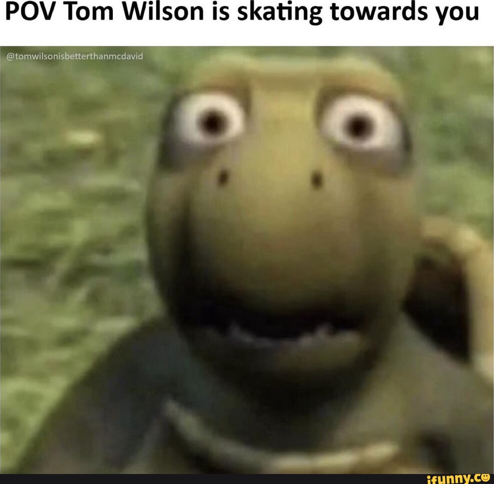 POW Tom Wilson is skating towards you @tomwilsonisbetterthanmcdavid ...