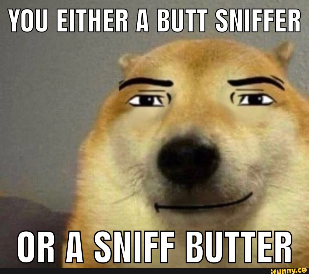 YOU EITHER A BUTT SNIFFER OR A SNIFF BUTTER - iFunny