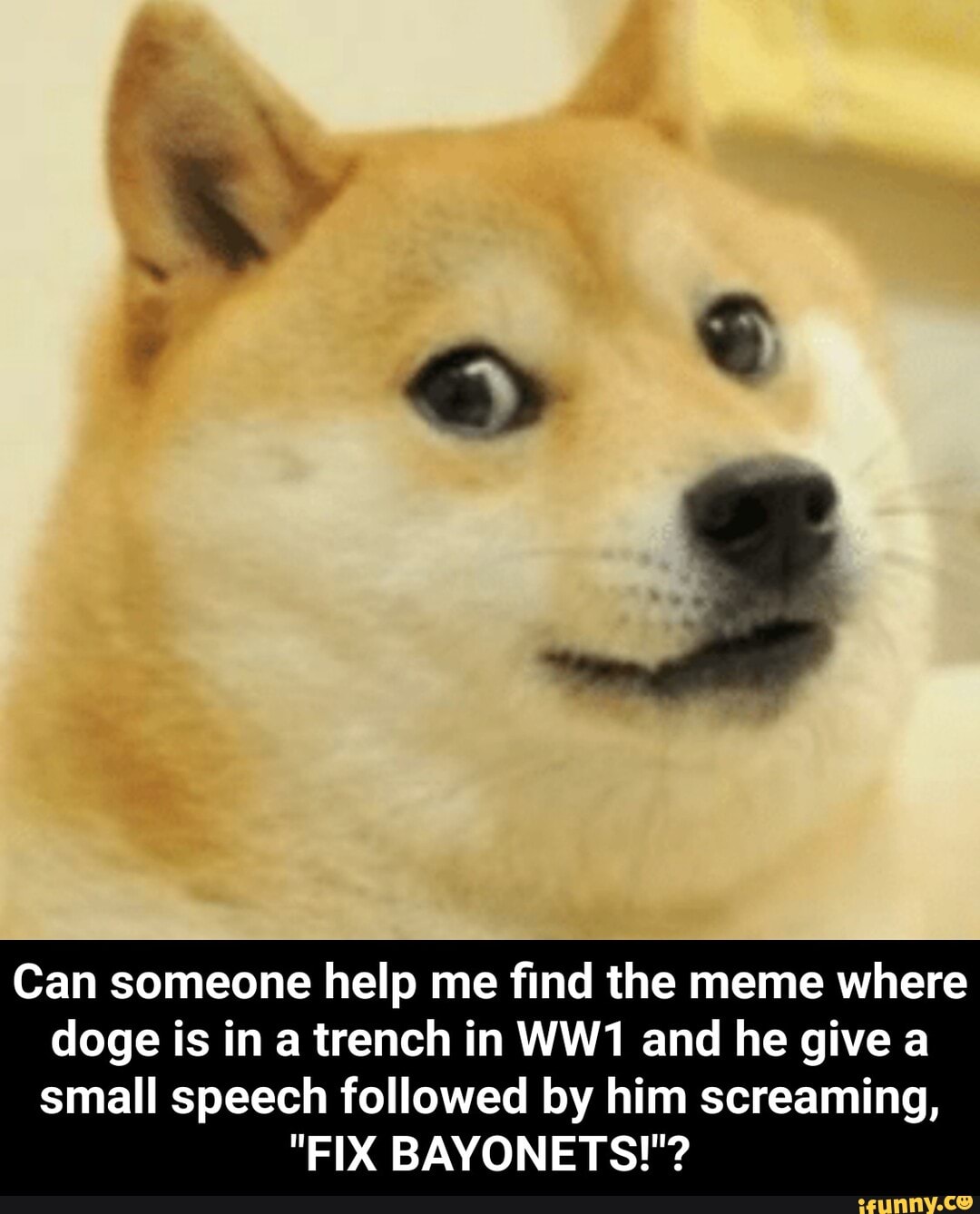 Fixbayonets memes. Best Collection of funny Fixbayonets pictures on iFunny