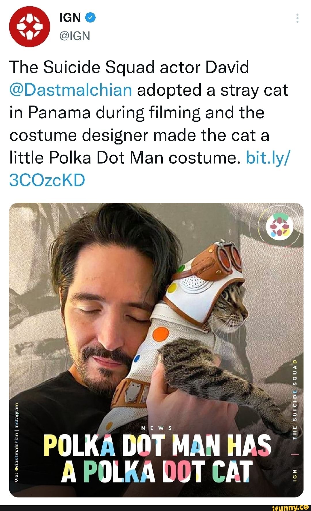 IGN @IGN The Suicide Squad actor David @Dastmalchian adopted a stray ...