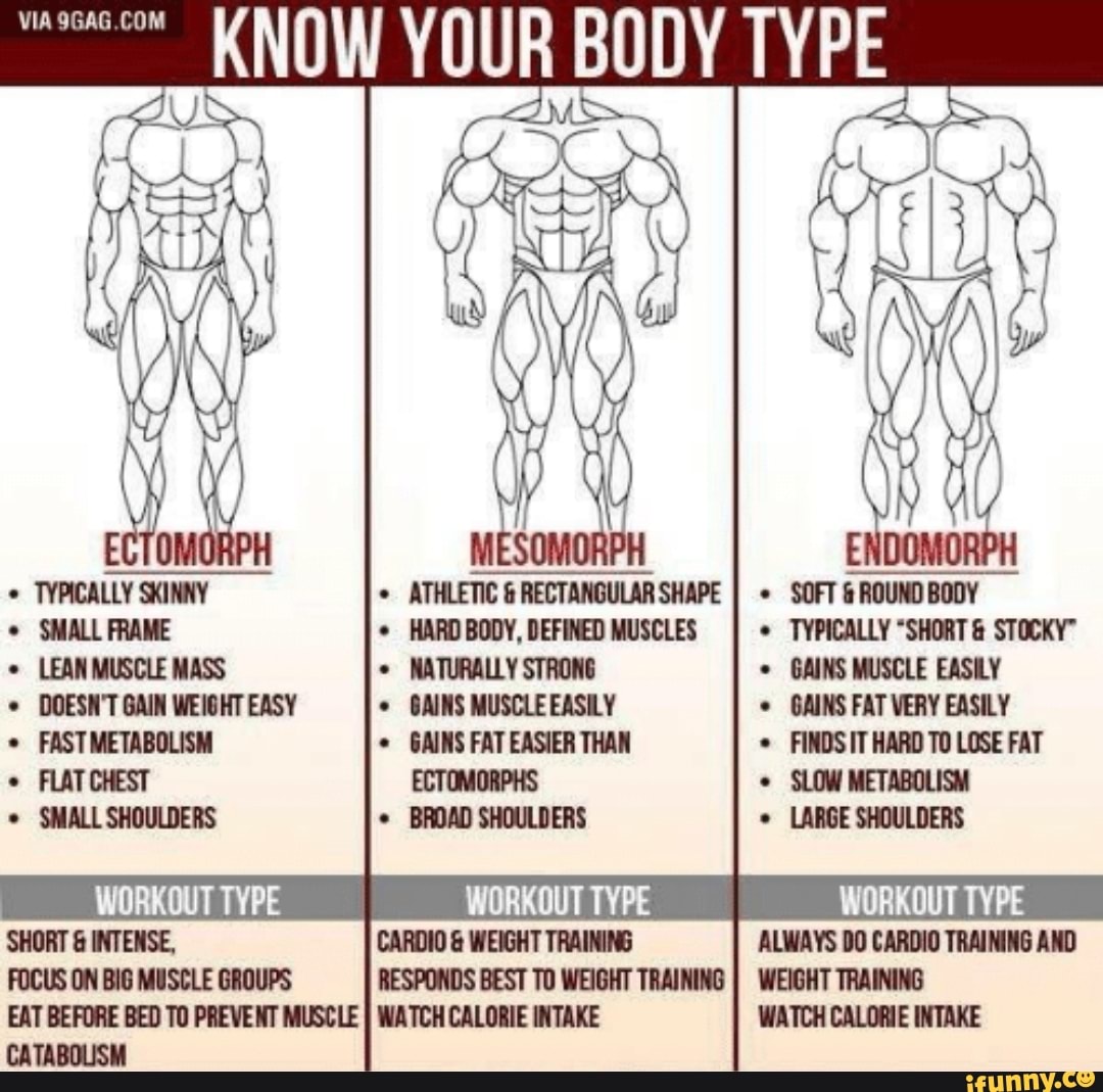 Know Your Body Type Angular Shape Soft And Round Body Hard Body Defined