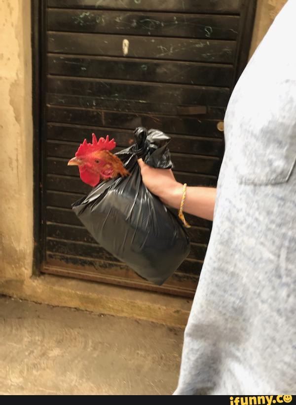 Cursed_chicken memes. Best Collection of funny Cursed_chicken pictures ...