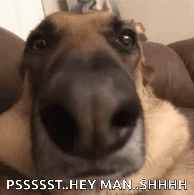 PSSSSST MAN - America’s best pics and videos
