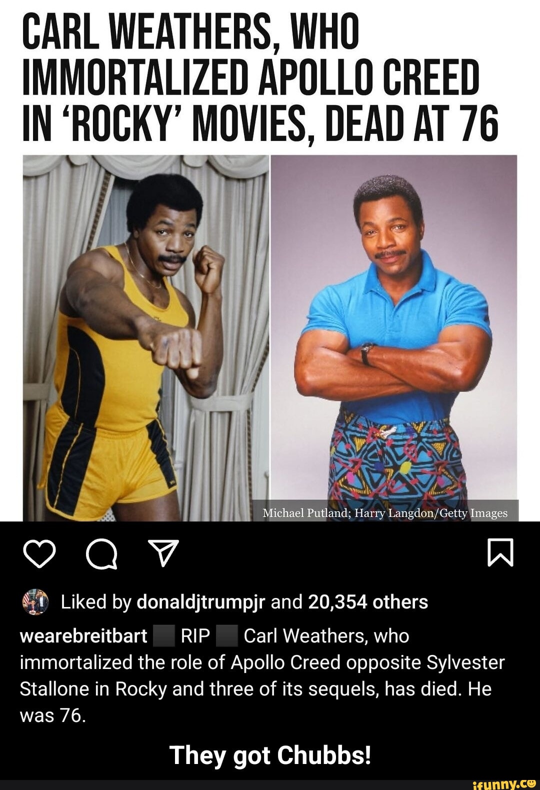 Chubbs memes. Best Collection of funny Chubbs pictures on iFunny