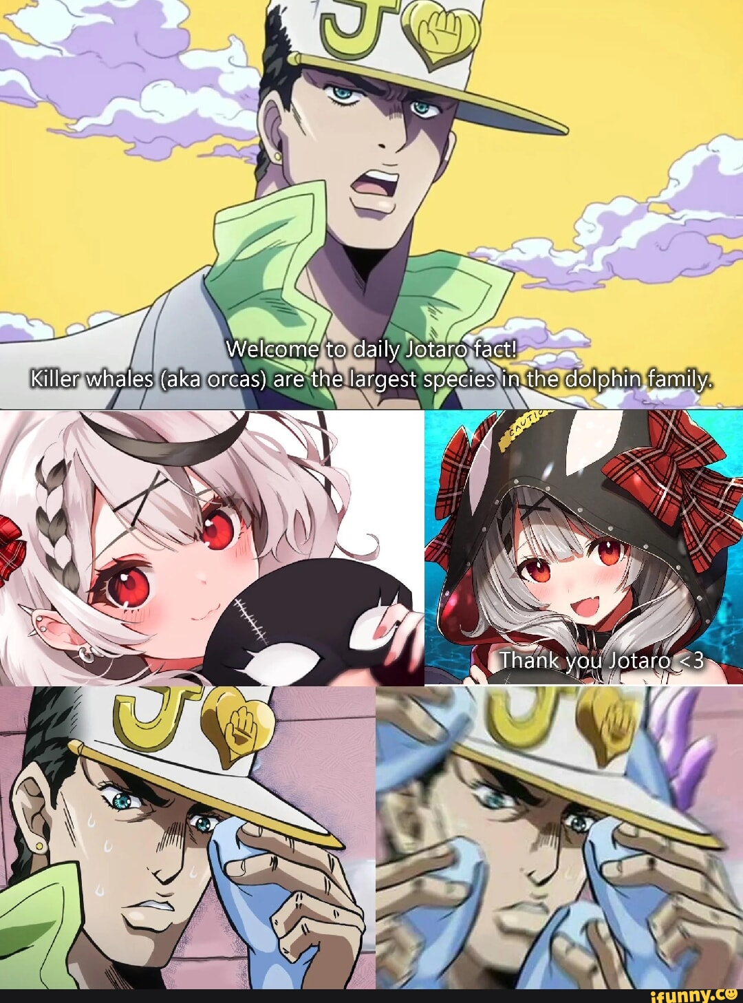 Jotaro memes. Best Collection of funny Jotaro pictures on iFunny