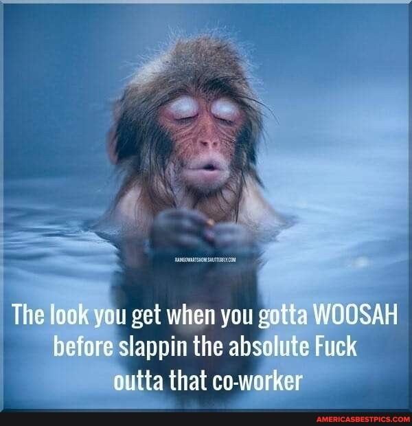 The look you get when you gotta WOOSAH before slappin the absolute Fuck ...