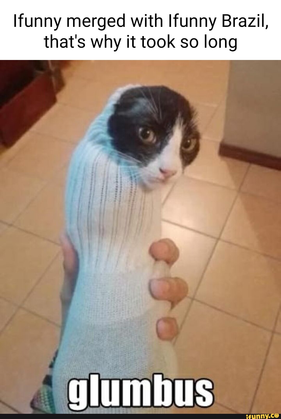 Ifunny merged with Ifunny Brazil, that's why it took so long us - iFunny