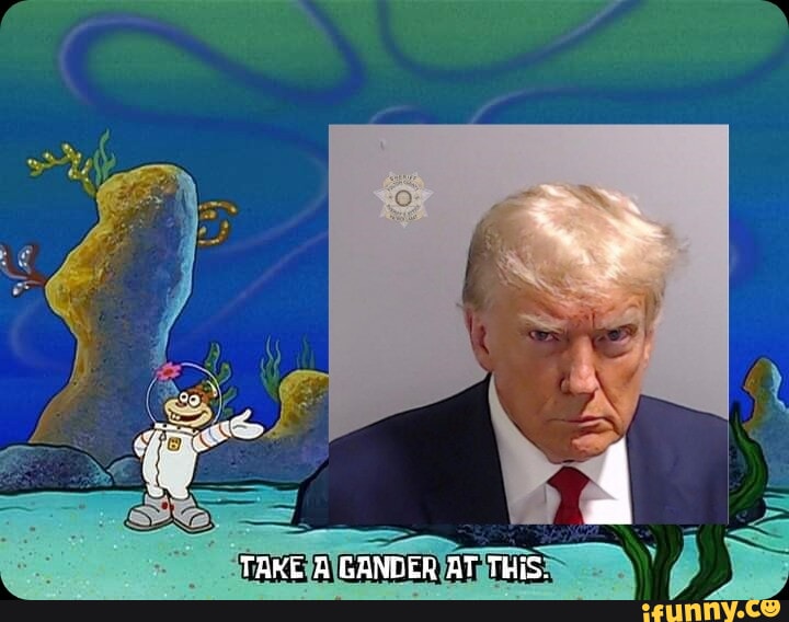 Gander memes. Best Collection of funny Gander pictures on iFunny