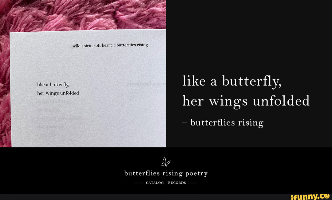 Like a butterfly, her wings unfolded - butterflies rising quote from ...