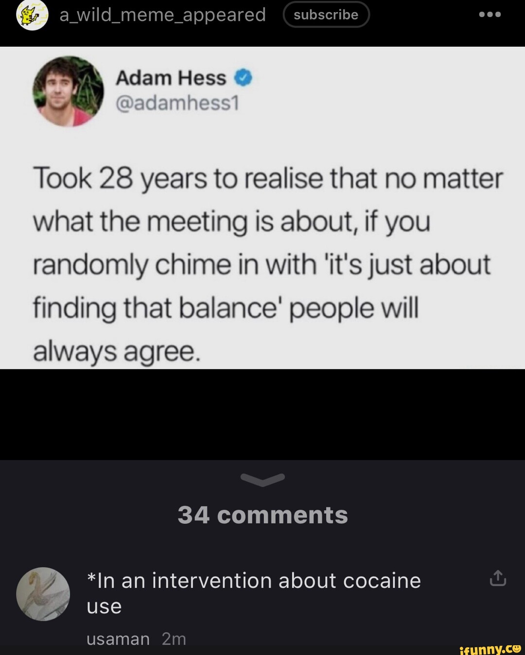 A_wild_meme_appeared subscribe Adam Hess @ Took 28 years to realise ...