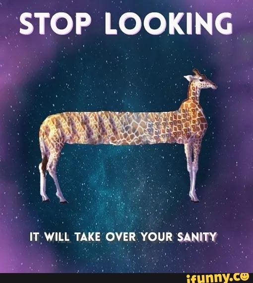 Stoplooking memes. Best Collection of funny Stoplooking pictures on iFunny