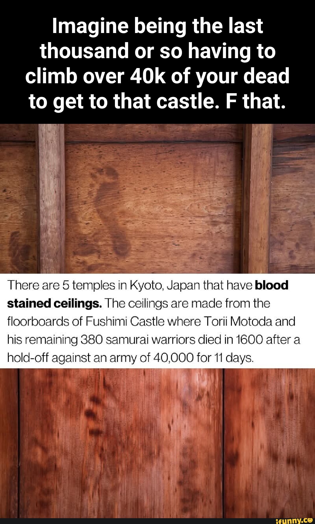 Ide with mematic When you find $5 on the floor as a kid When you find ...