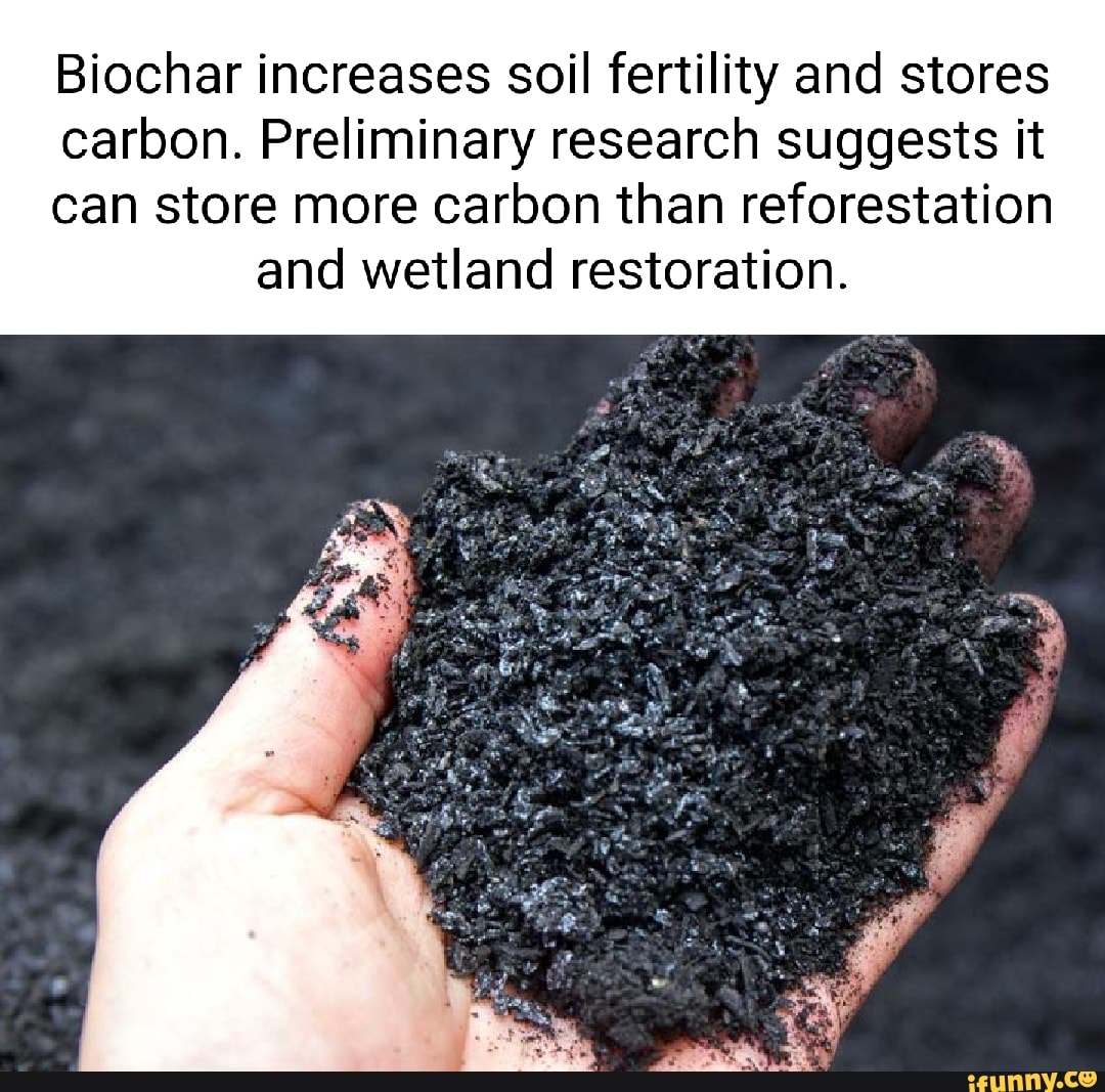 Reforestation memes. Best Collection of funny Reforestation pictures on ...